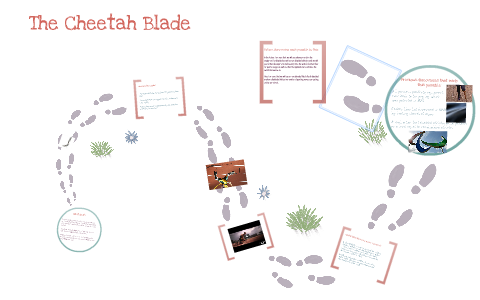 Cheetah Blades by Alex Tripodi