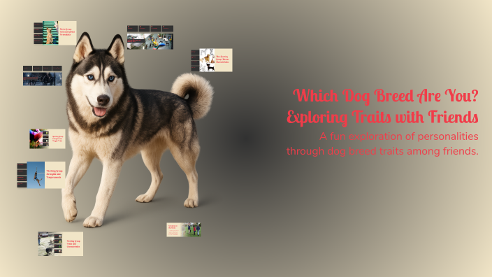 Which Dog Breed Are You? Exploring Traits with Friends by on Prezi
