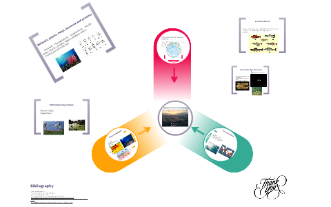 Pacific Ocean (Biome project) by Eric Shin on Prezi