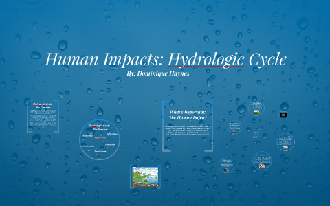 Human Impacts: Hydrologic Cycle by Dominique Haynes on Prezi