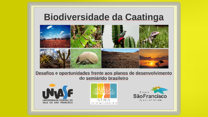 Biodiversidade da Caatinga by Everton Oliveira