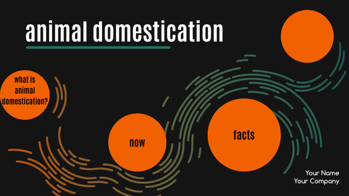 domestication of animals history by Kaydi Hayward on Prezi