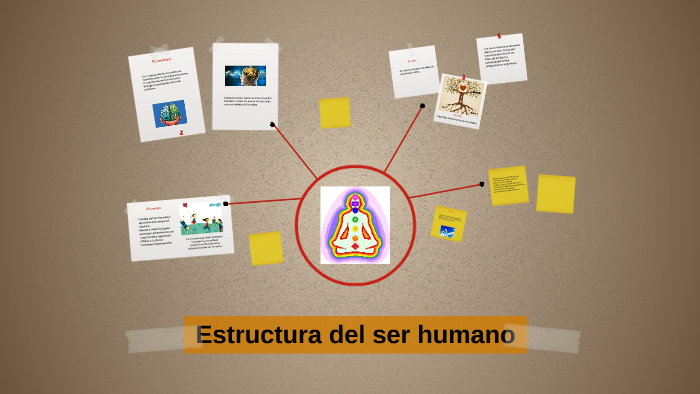 Estructura del ser humano by Mike Soria Enriquez on Prezi