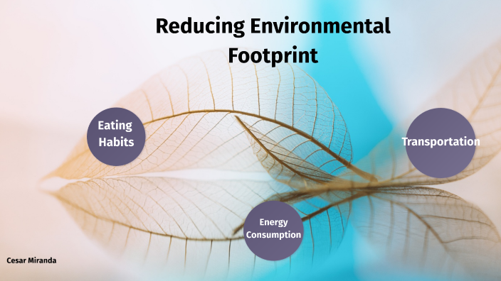 Advice for Friends and Family's Impact on the Environment by Cesar ...