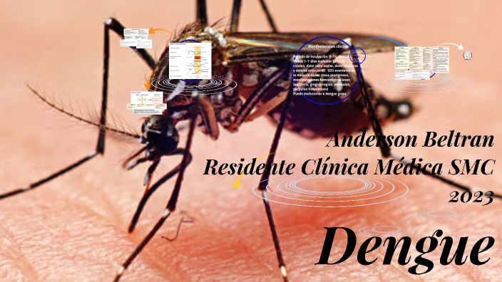 Dengue by Anderson Beltran Rodriguez on Prezi