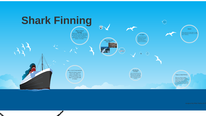 Shark Finning by on Prezi
