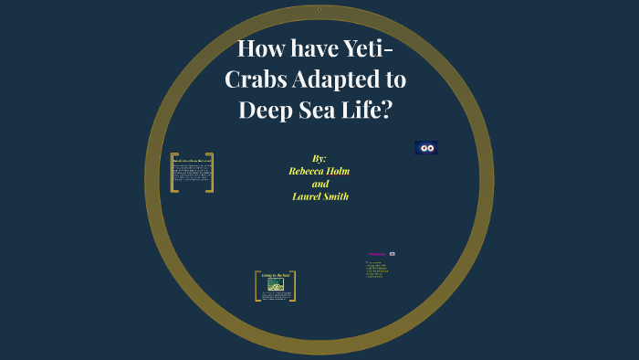 How have yeti-crabs adapted to deep sea life? by laurel smith on Prezi