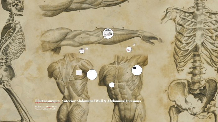 Anterior Abdominal Wall, Abdominal Incisions & Inguinal Hern by ...