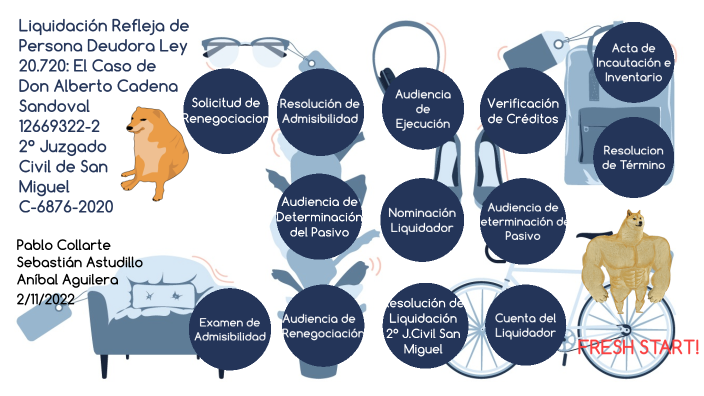 Liquidación Refleja de la Persona Deudora Ley 20720: El Caso de Don ...