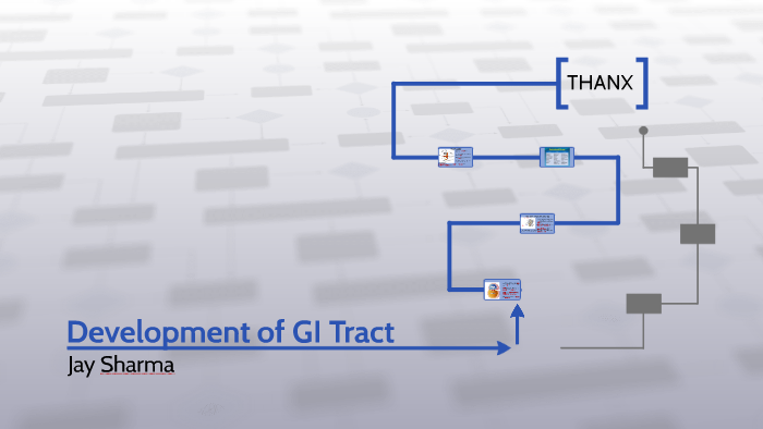 Development of GI Tract by Jay Sharma