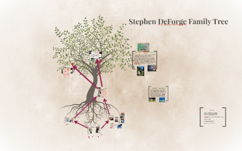 Stephen DeForge Family Tree by Steve DeForge on Prezi
