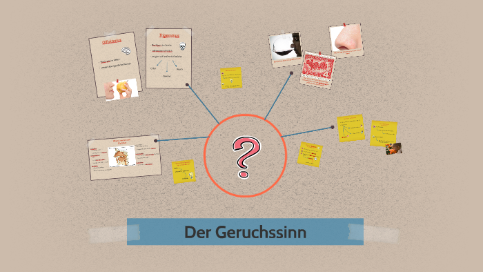 Der Geruchssinn by Mareen Bentrup on Prezi