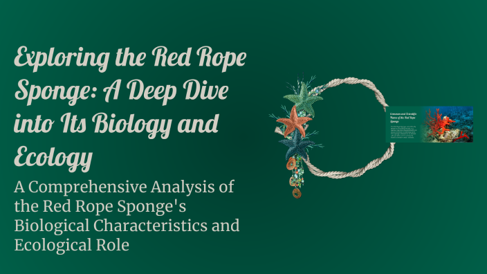 Exploring the Red Rope Sponge: A Deep Dive into Its Biology and Ecology ...