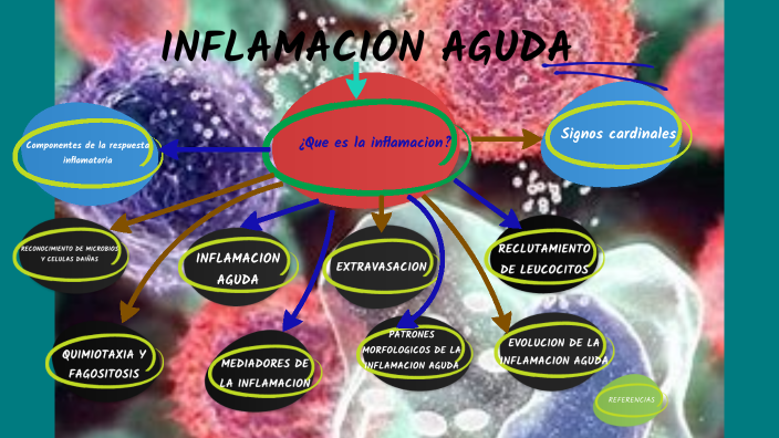 inflamacion aguda by Aranza lopez on Prezi