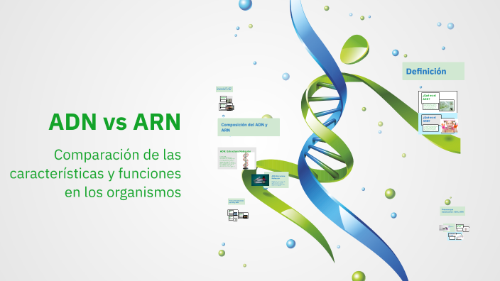 ADN vs ARN by Nancita Valencia on Prezi