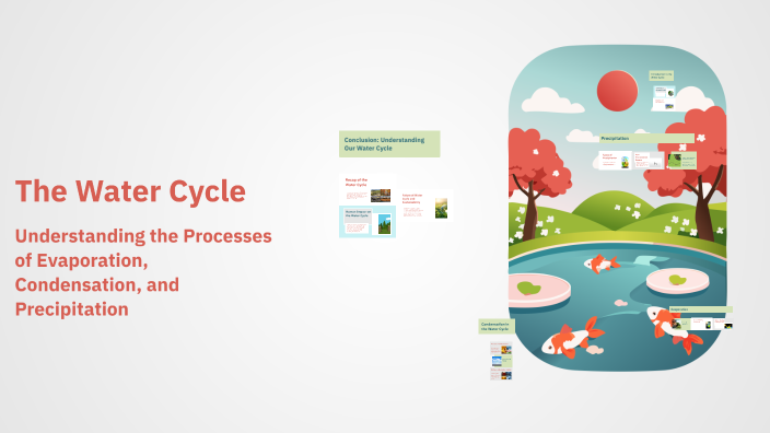 The Water Cycle by Marwa Hamed on Prezi
