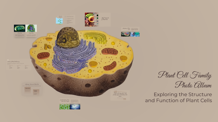 Plant Cell Family Photo Album by Angela Gonzalez on Prezi