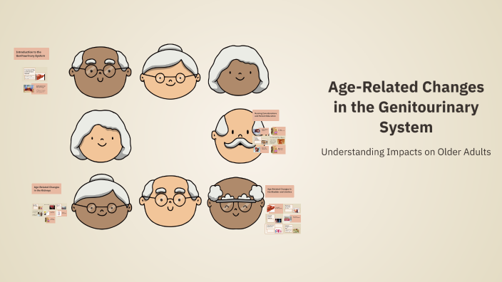 Age-Related Changes in the Genitourinary System by Miguel Once on Prezi