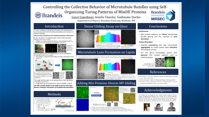 2024 scifest poster by Gauri Gajeshwar on Prezi