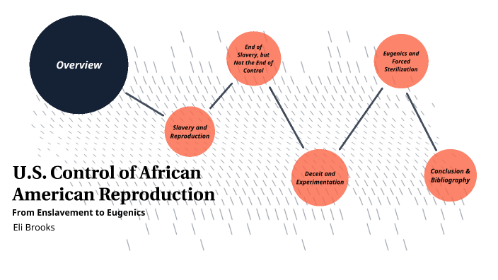 Reproductive Control by matty brooks on Prezi