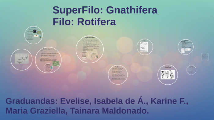 SuperFilo: Gnathifera by Evelise Vieira Cantuario on Prezi