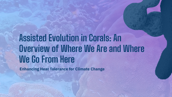 Assisted Evolution in Corals Presenter Version by Noa Kalev on Prezi
