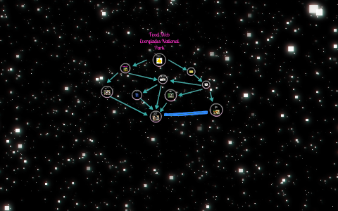 Food Web...Everglades National Park by Aisha Merina
