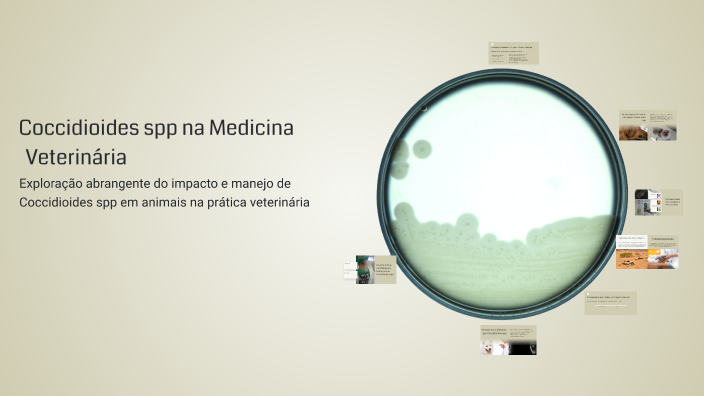Coccidioides spp na Medicina Veterinária by Kelly Sousa on Prezi