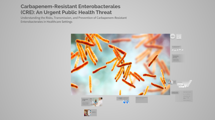 Carbapenem-Resistant Enterobacterales (CRE): An Urgent Public Health ...