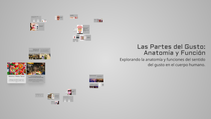 Las Partes del Gusto: Anatomía y Función by Jaksin Arroyo maco on Prezi