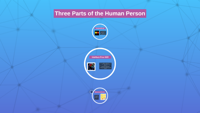 Three Parts of the Human Person by Ben Gorton on Prezi