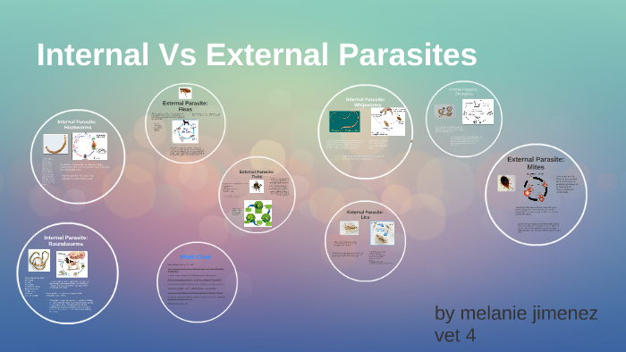 Internal Vs External Parasites by melanie jimenez on Prezi