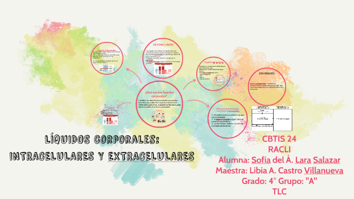 LÍQUIDOS INTRACELULARES Y EXTRACELULARES by Sofía Lara on Prezi LÍQUIDOS INTRACELULARES Y EXTRACELULARES by Sofía Lara on Prezi