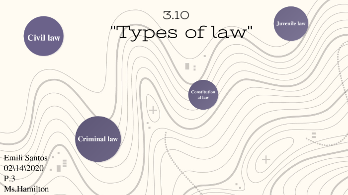 "3.10 Types of law" by Emili santos on Prezi