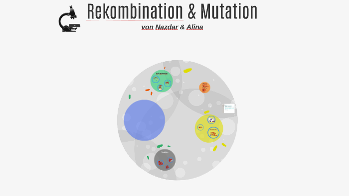 Rekombination & Mutation by Alina Colmsee on Prezi