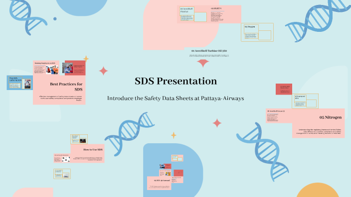 SDS Presentation by Teetach Nandee on Prezi