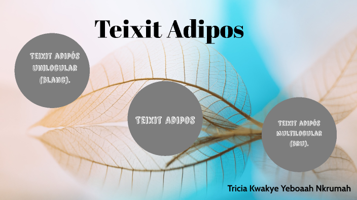 Teixit Adipos by Tricia Yeboaah Kwakye Nkrumah on Prezi
