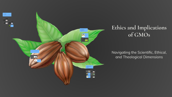 Ethics and Implications of GMOs by Ransom Abella on Prezi