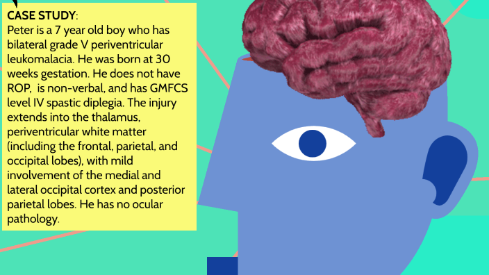 Group 4 Final Case Study Presentation by Alexandra Atwood on Prezi