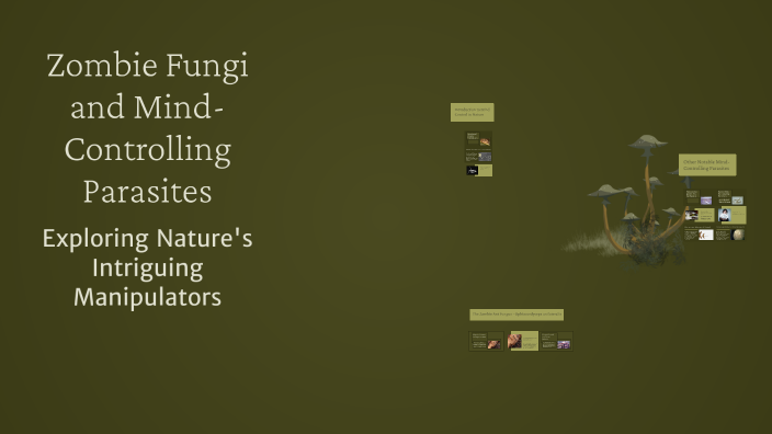 Zombie Fungi and Mind-Controlling Parasites by Simra Kasam on Prezi