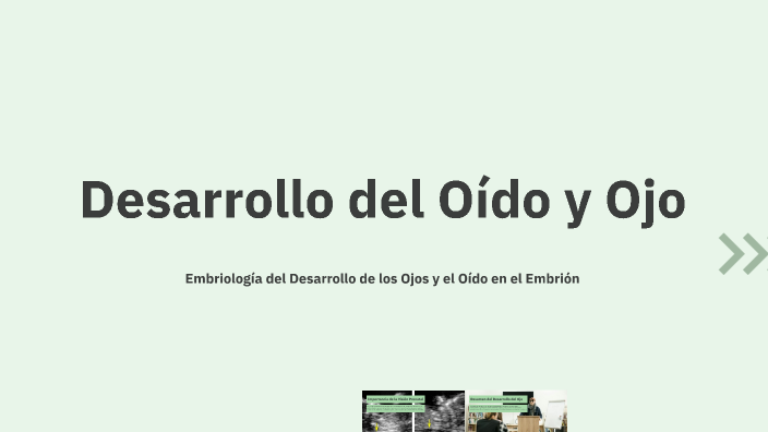 Desarrollo del Oído y Ojo by Daphne Mora on Prezi
