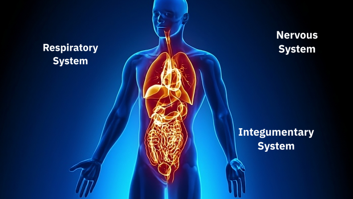 Human Body Systems by Mujtaba Hassan [Student] on Prezi Next