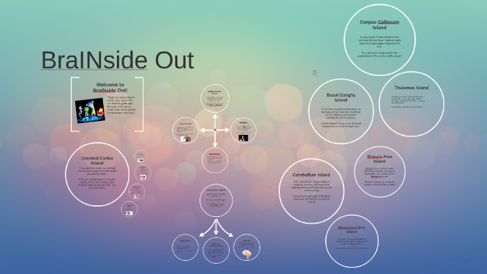 AP Psychology Brain Project by McKenna Davis on Prezi