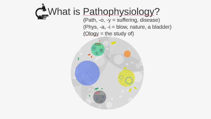What is Pathophysiology? by lydia cummins on Prezi