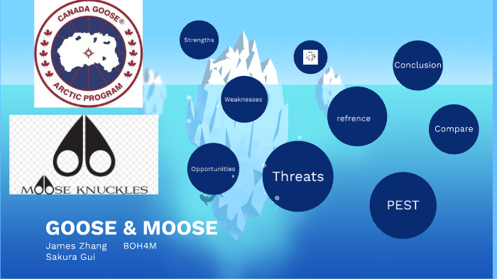 SWOT-GOOSE&MOOSE by sakura Gui on Prezi