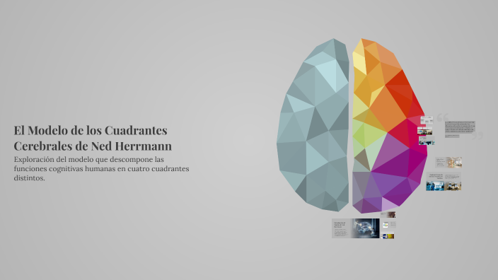 El Modelo de los Cuadrantes Cerebrales de Ned Herrmann by KLIBER JUNIOR ...