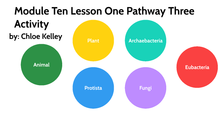 Module Ten Lesson One Pathway Three Activity By Chloe Kelley 
