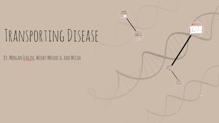 Transporting Disease by Morgan Feagin on Prezi