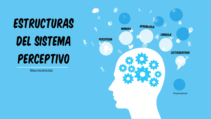 Estructuras del sistema perceptivo by Isai Neri on Prezi