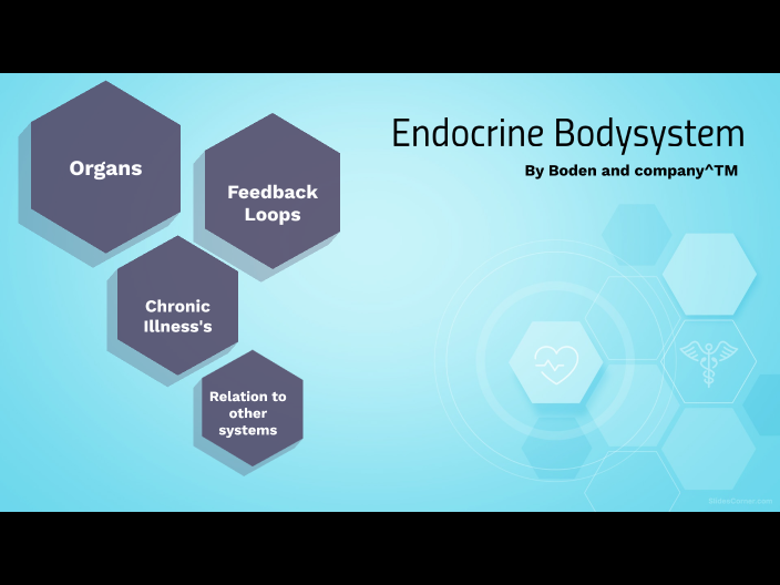 Endocrine Body Systems Project by Boden Smith on Prezi